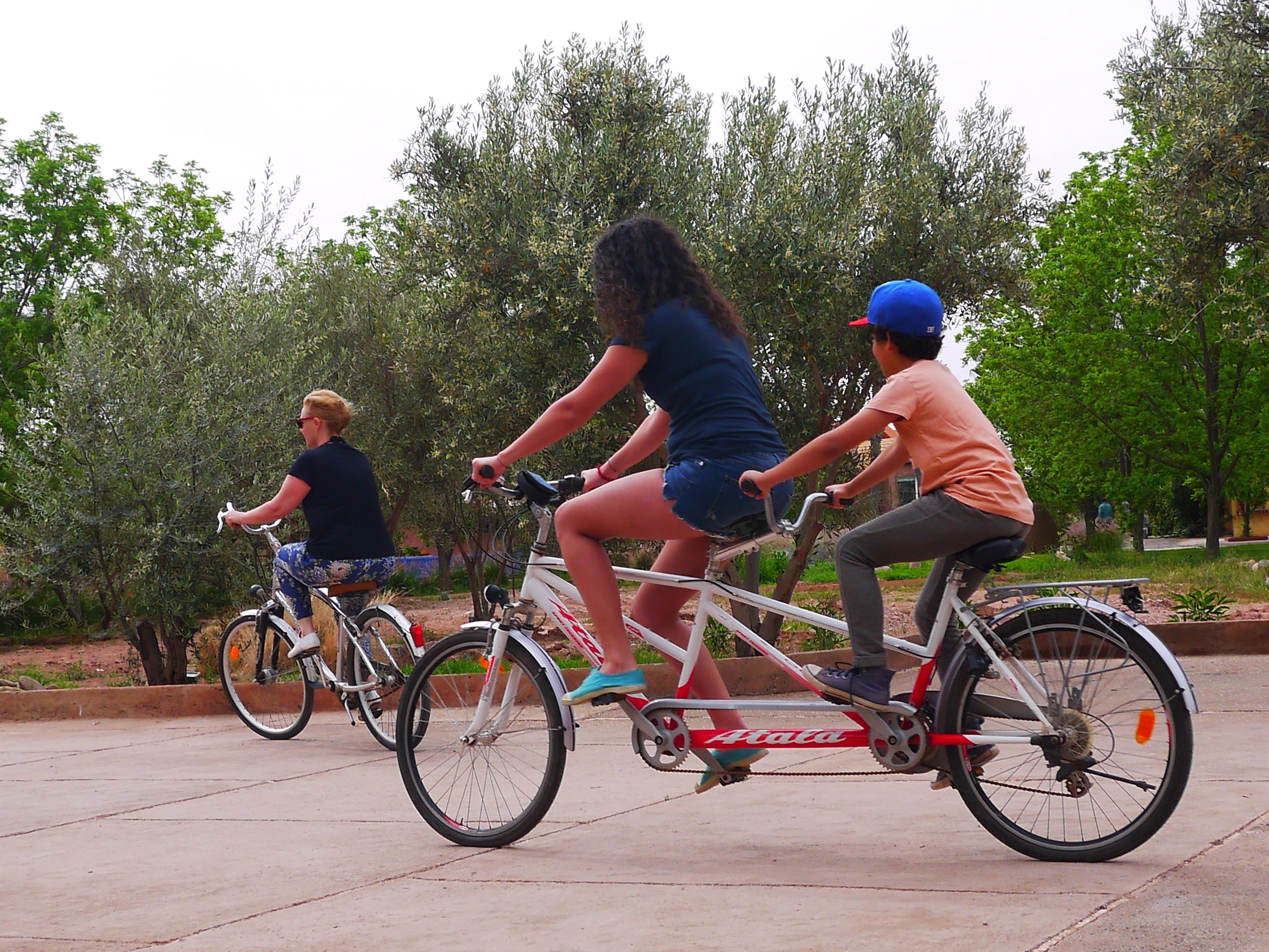 Três pessoas andando de bicicleta em um caminho pavimentado, ladeado por árvores.