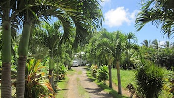 Terrenos do alojamento