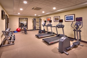 Centro de fitness com esteiras, elípticos, um banco de musculação e bolas de exercício.