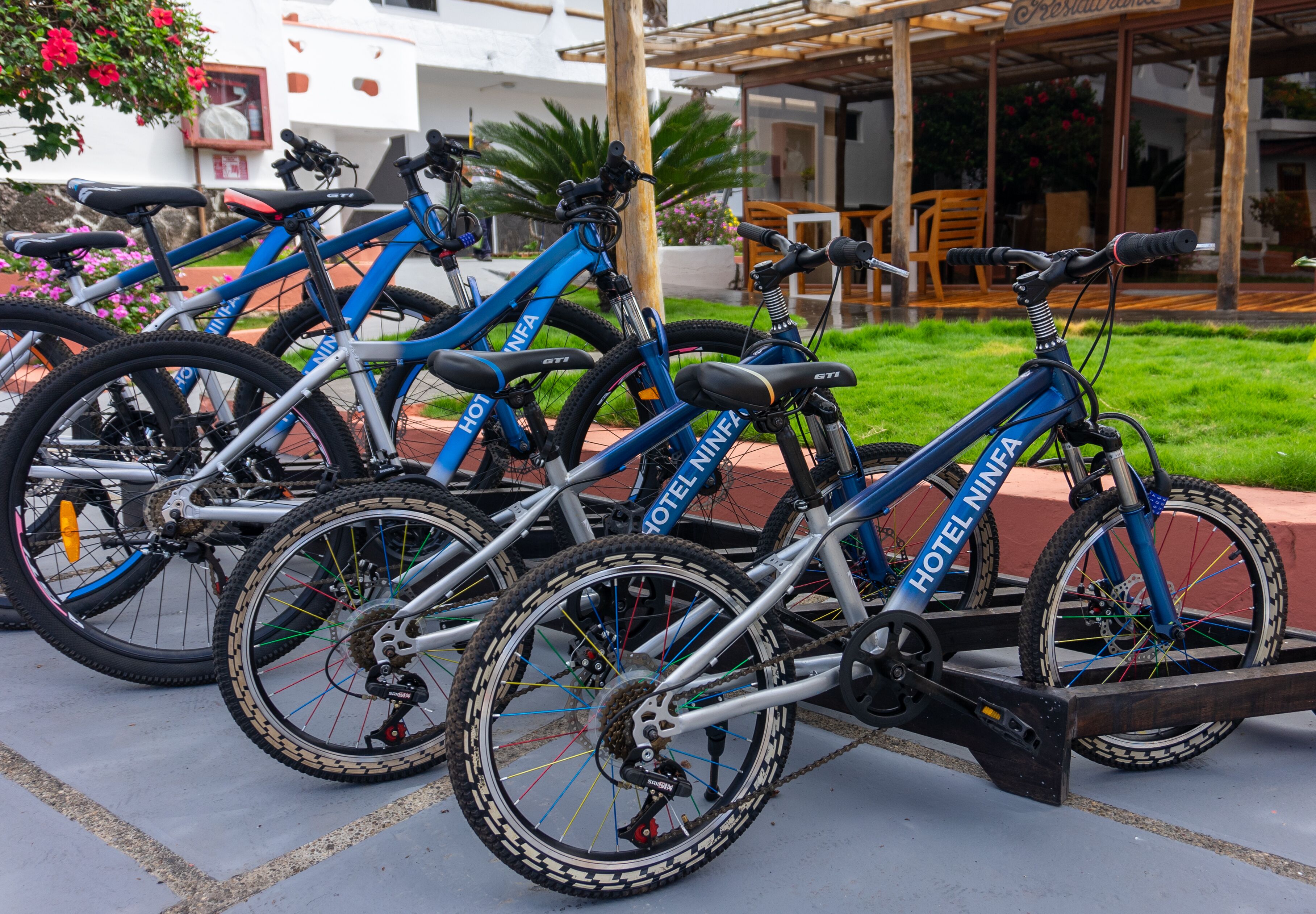 Uma fileira de bicicletas estacionadas em frente a um prédio com uma placa que diz 'HOTEL NINFA'.