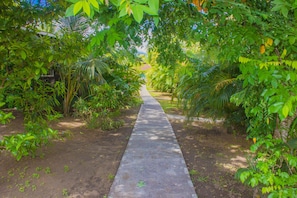 Um caminho ladeado por vegetação exuberante, conduzindo a um edifício com telhado vermelho.