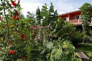 Um jardim exuberante com plantas tropicais e um prédio vermelho ao fundo.