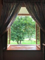 Uma janela com vista para uma árvore e um gramado.