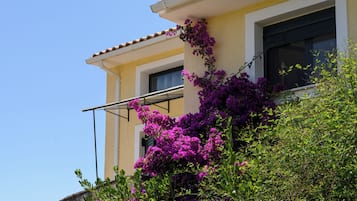 Fachada do alojamento