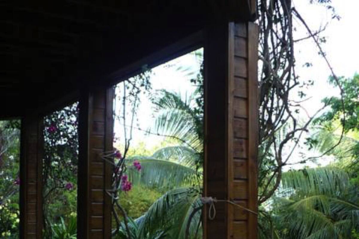 Um pátio externo com mesa e cadeiras, rodeado por vegetação exuberante e vista para o jardim.