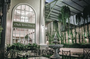 Entrada (vista interna)