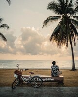 Cena de praia com uma bicicleta estacionada em um banco de madeira, uma pessoa sentada no banco e palmeiras ao fundo.