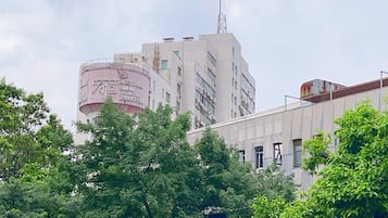 Terraço/pátio interior