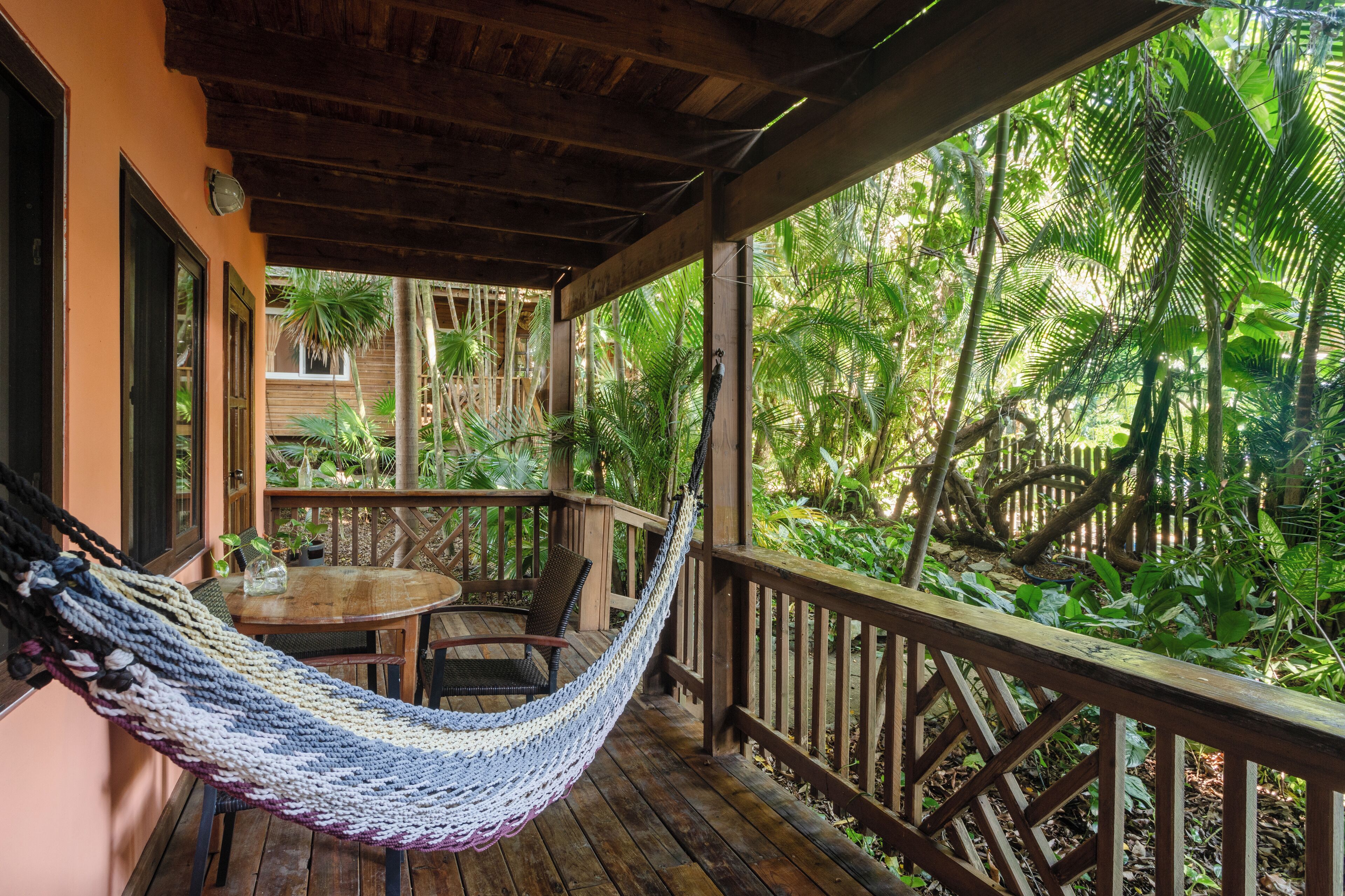 Estúdio standard, cozinha americana, no jardim | Terraço/pátio