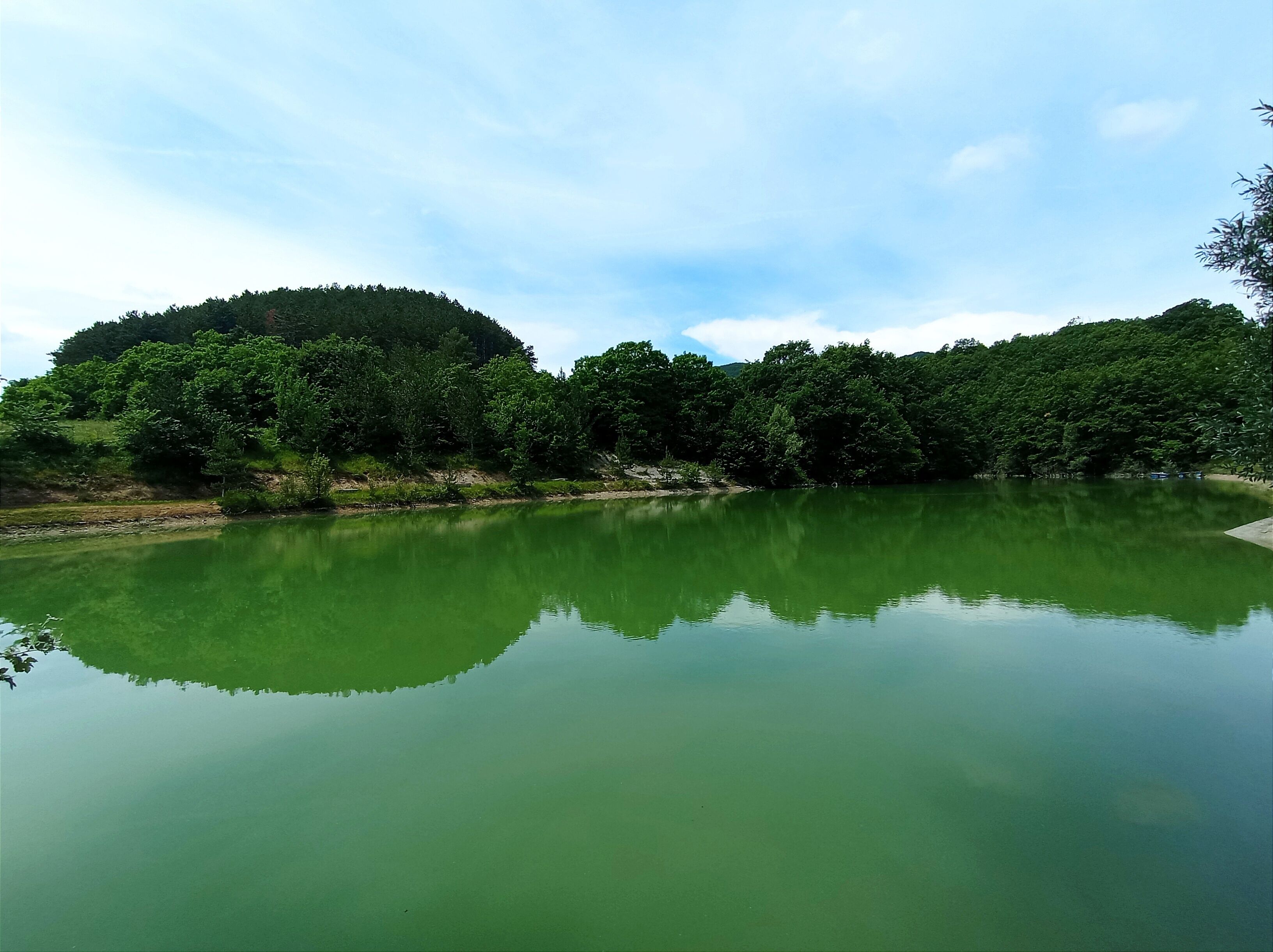 Um lago calmo rodeado por vegetação densa e árvores.