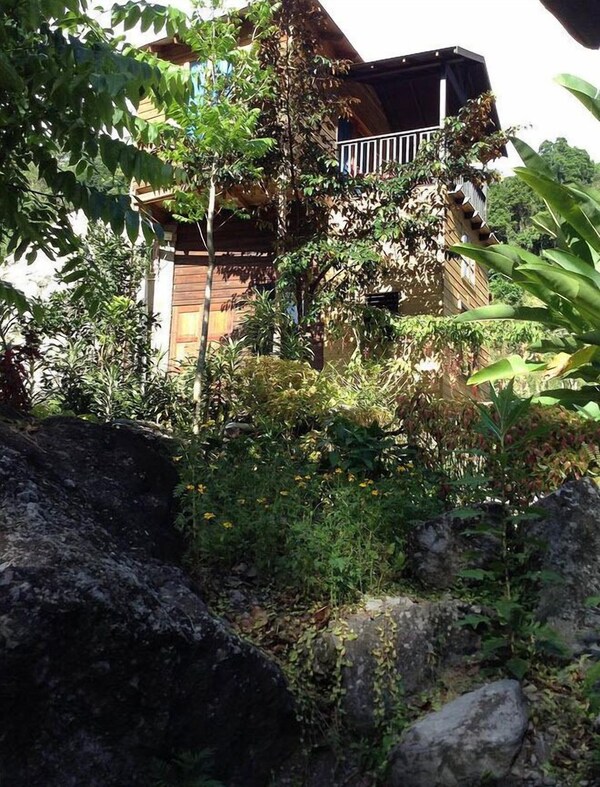 Rafjam Bed & Breakfast - Caribbean