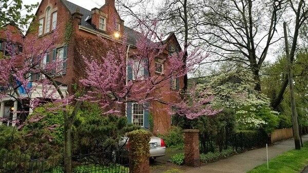 Clifford House Private Home Bed & Breakfast - Cleveland, OH