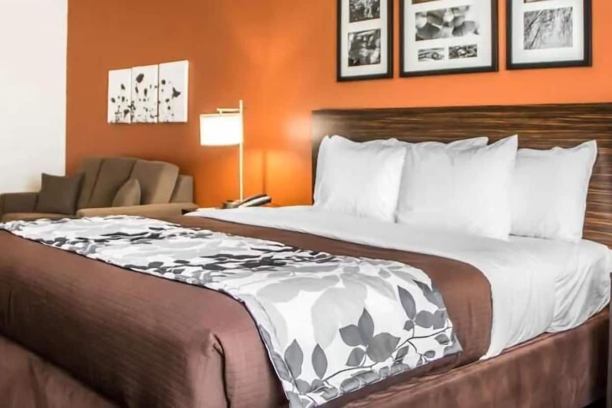 Roupa de alta qualidade, camas de colchão pillowtop, secretária