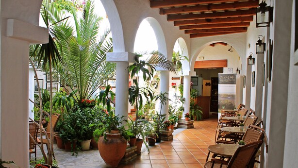 Uma área de varanda coberta com piso de azulejos, plantas em vasos e móveis de vime.