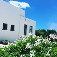 Quarto standard, 1 quarto | Vista do quarto