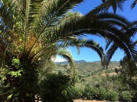 Vista da propriedade