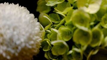 Quarto duplo superior, 2 camas de solteiro | Detalhe da parte interna