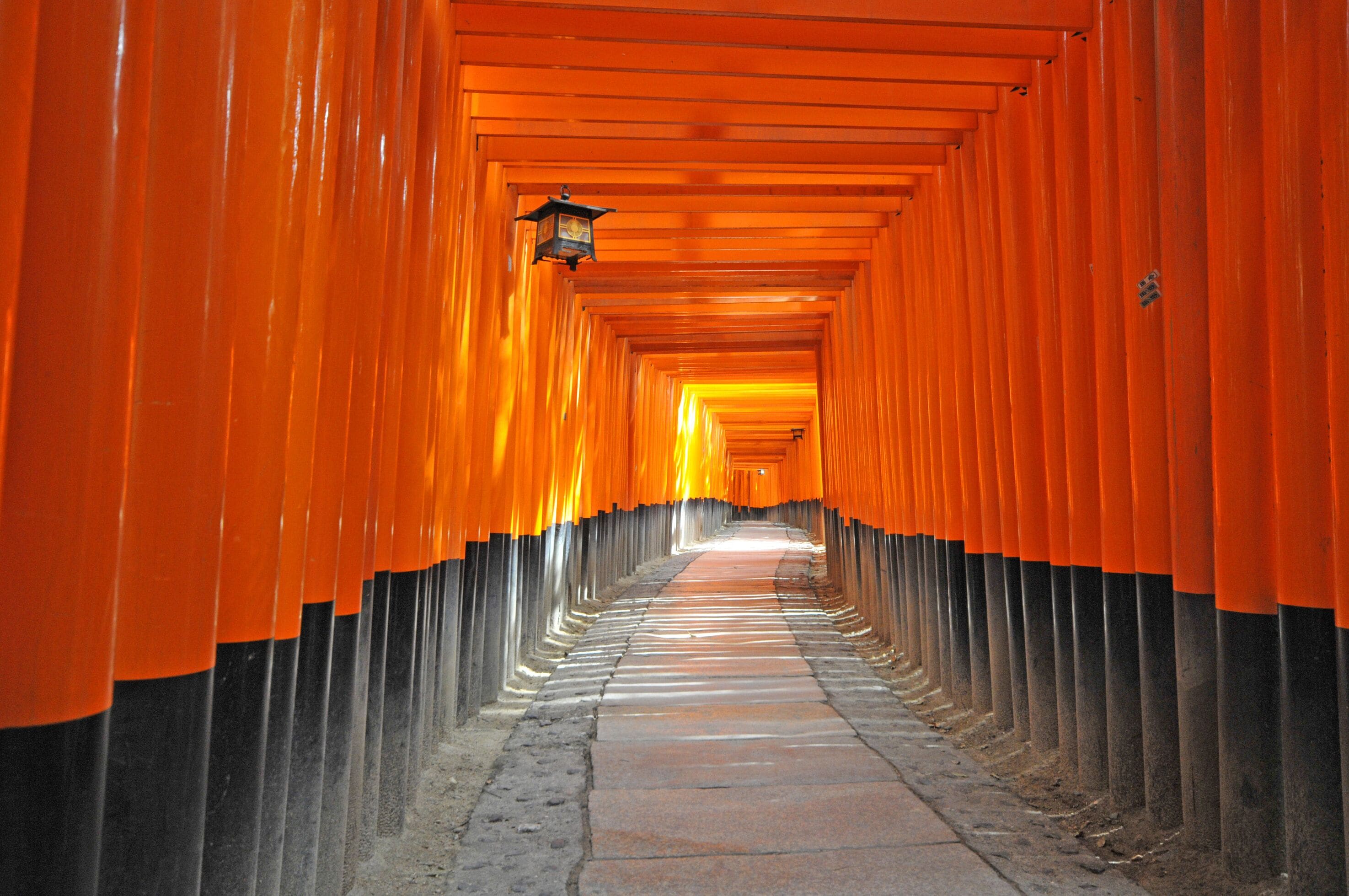 Um corredor ladeado por portões torii laranja que levam a um santuário.