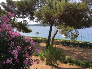 Vista da propriedade