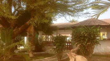 Jardim
