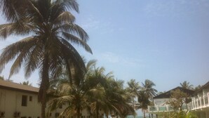 Um pátio com palmeiras, piscina e um edifício com várias janelas e varandas.