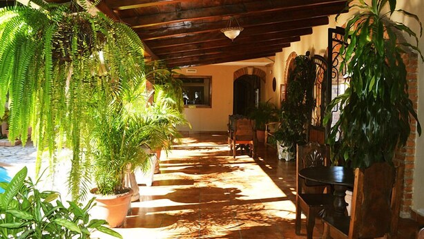Terraço/pátio interior