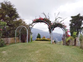 Jardim