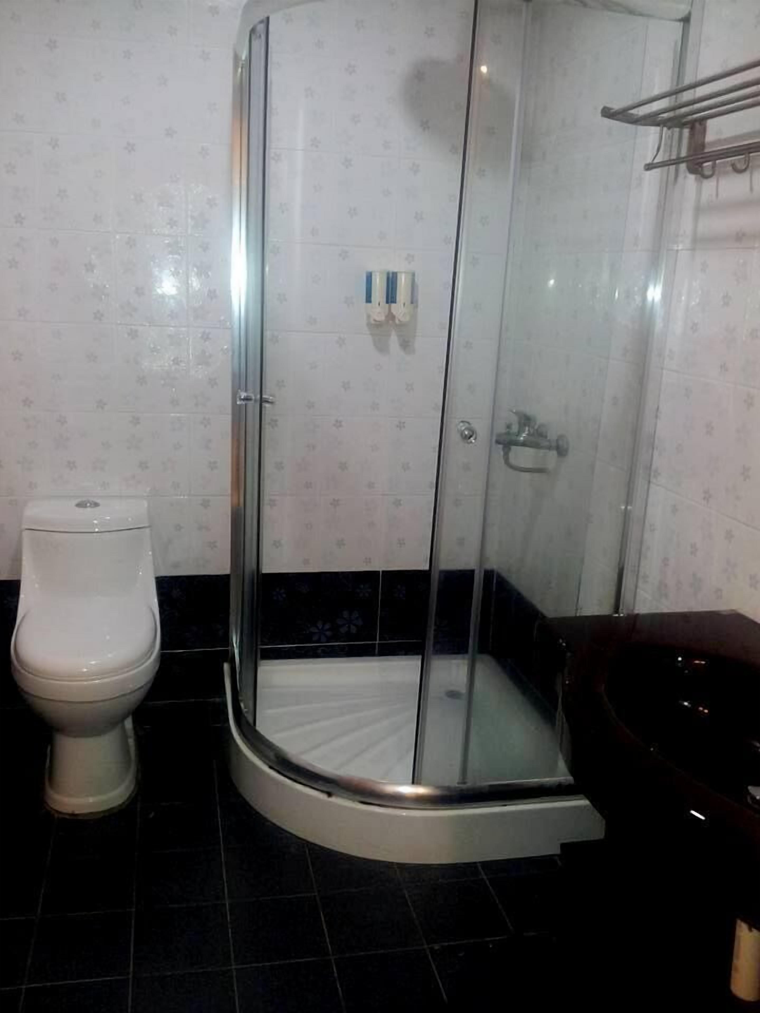 Uma casa de banho com chuveiro em cabine de vidro, sanita e lavatório.