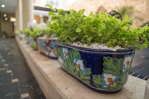 Uma fileira de plantas em vasos decorativos de cerâmica azul e verde.