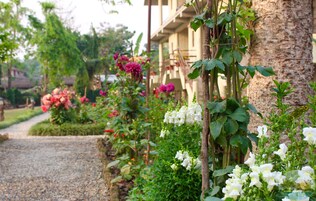 Um jardim com diversas flores e um caminho de cascalho que leva a um edifício.