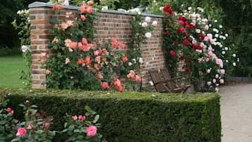 Jardim