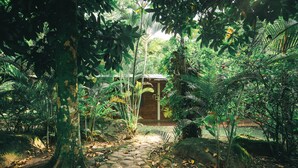 Uma trilha de pedra leva a uma construção rústica de madeira, rodeada por vegetação tropical densa.