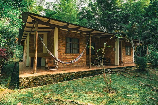 Los Huingos Eco Lodge - Tarapoto