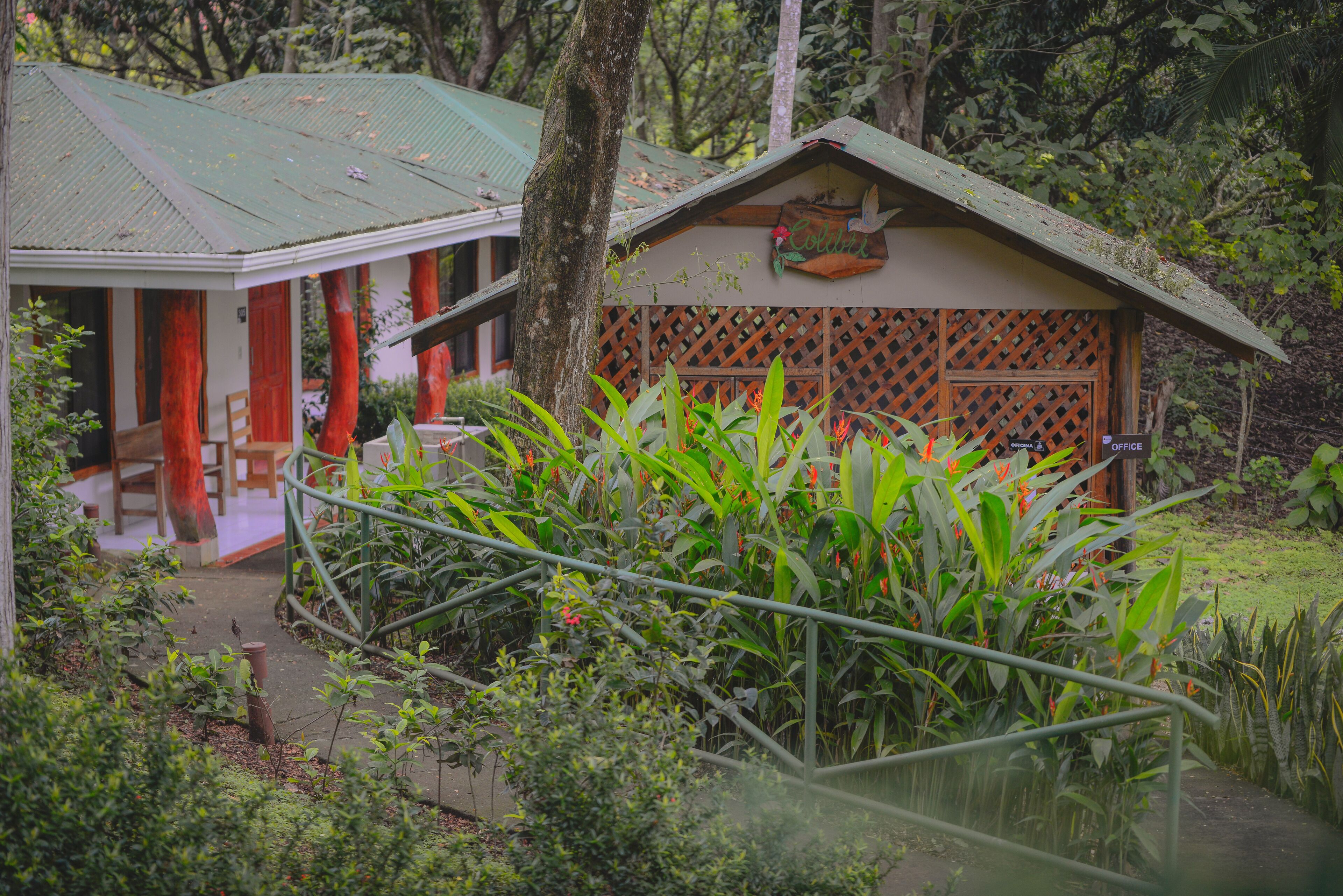 Uma casa rústica com telhado verde, rodeada por vegetação exuberante e um cercado de madeira.