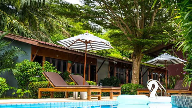 Uma área à beira da piscina com espreguiçadeiras e guarda-sóis, rodeada por vegetação exuberante e um edifício com grandes janelas.