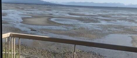 Apartamento em Condomínio Fechado, 2 quartos | Com decoração personalizada, com mobília individualizada