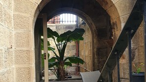 Uma área de pátio ao ar livre com um arco de pedra, uma planta grande em vaso, uma cadeira de metal e uma galinha.