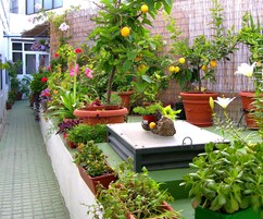 Vista da propriedade