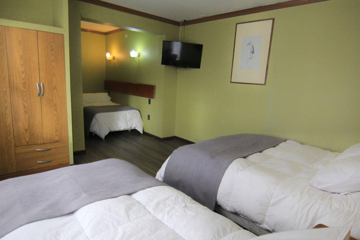 Quarto de hotel com duas camas, um guarda-roupa de madeira, uma televisão e um quadro pendurado na parede.