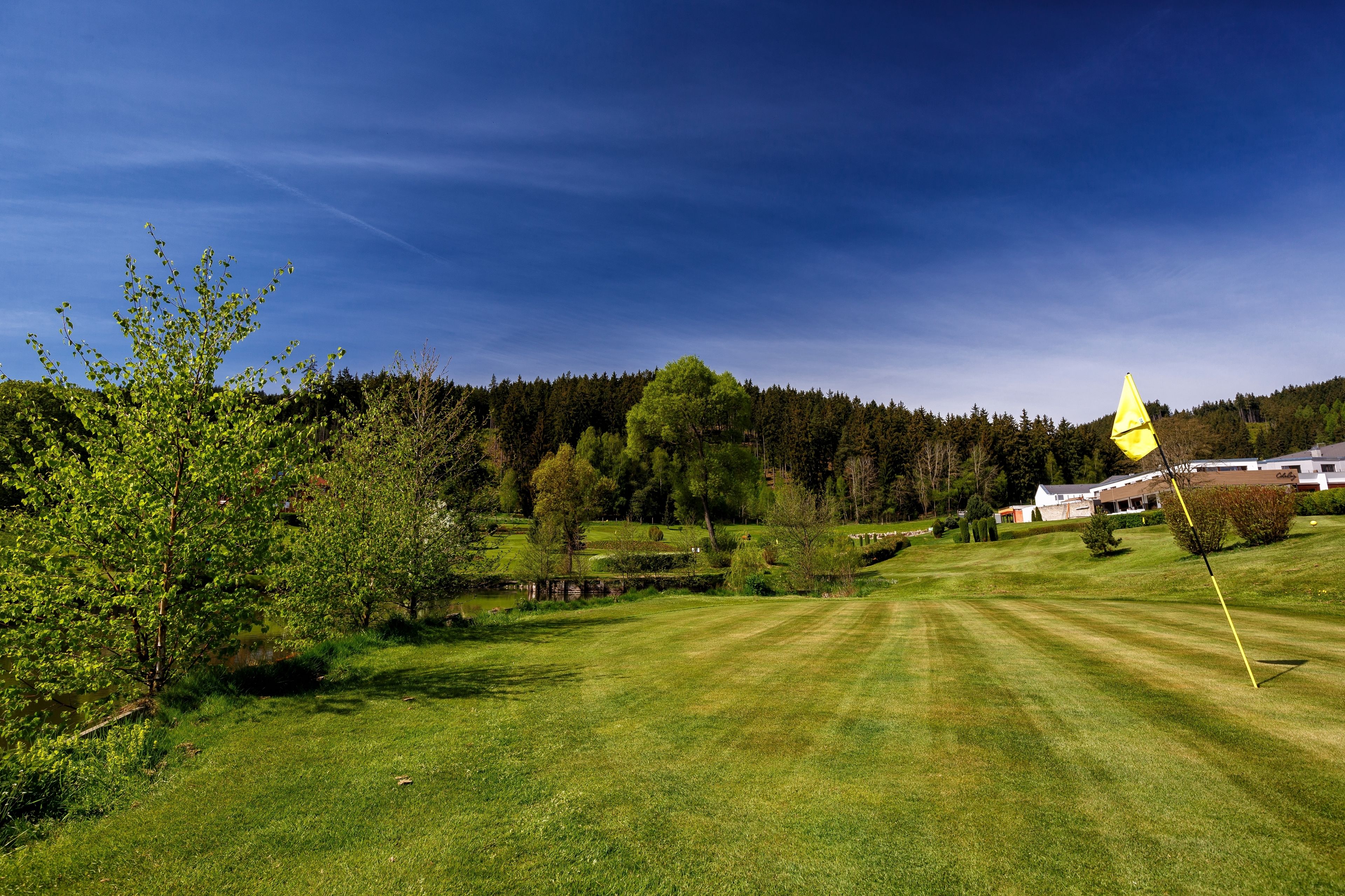 Um campo de golfe com uma bandeira, árvores e um edifício ao fundo.