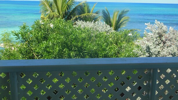 Vista de uma praia tropical com palmeiras e um oceano azul e límpido.