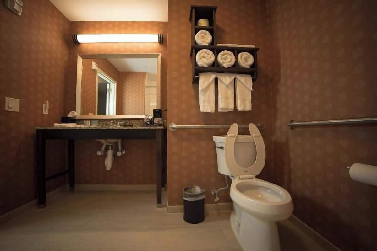 Chuveiro, produtos de toalete grátis, secador de cabelo