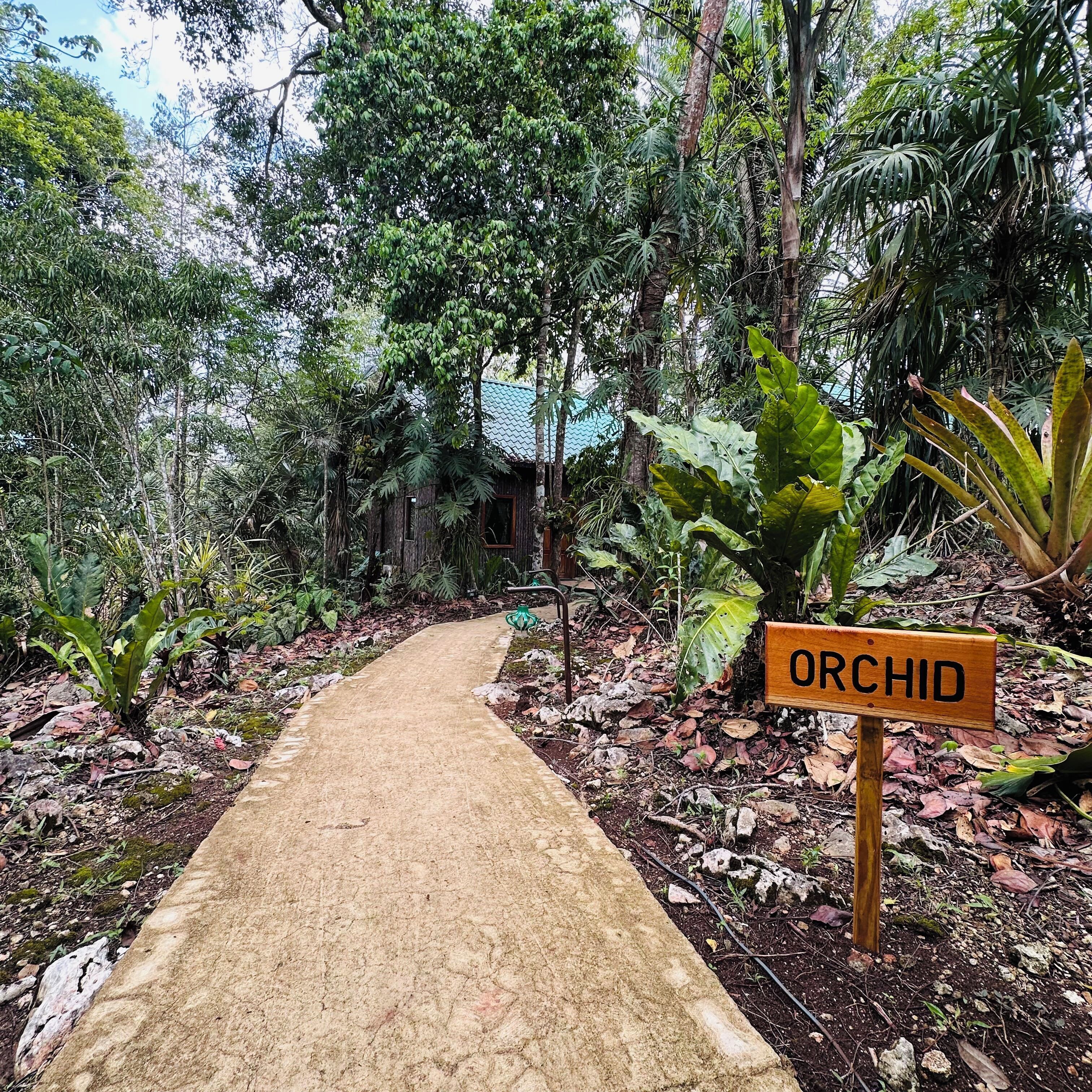 Um caminho serpenteia por um jardim exuberante, com uma placa mostrando a direção para a seção de orquídeas.