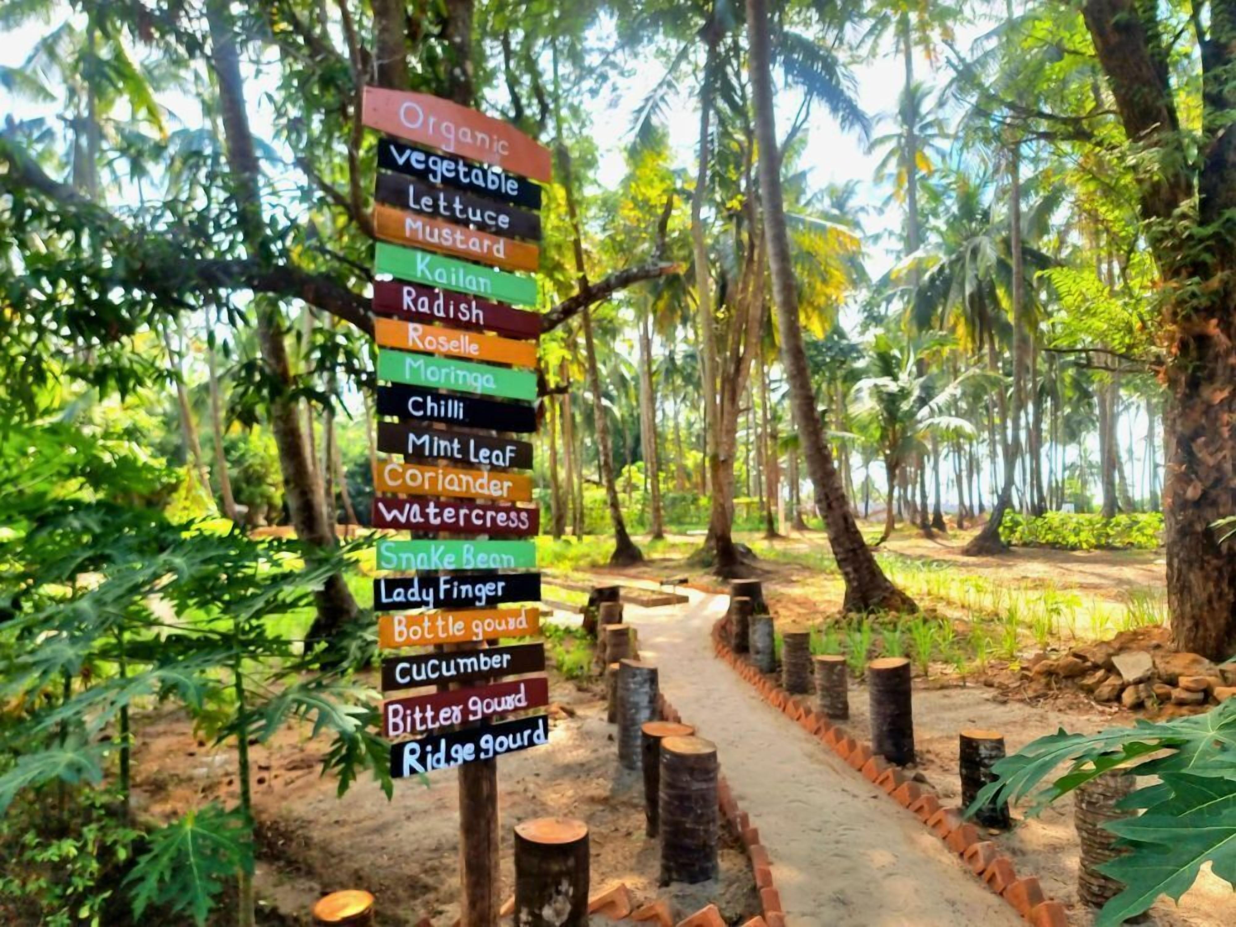 Placa de madeira com diversos nomes de plantas em cenário de floresta tropical.