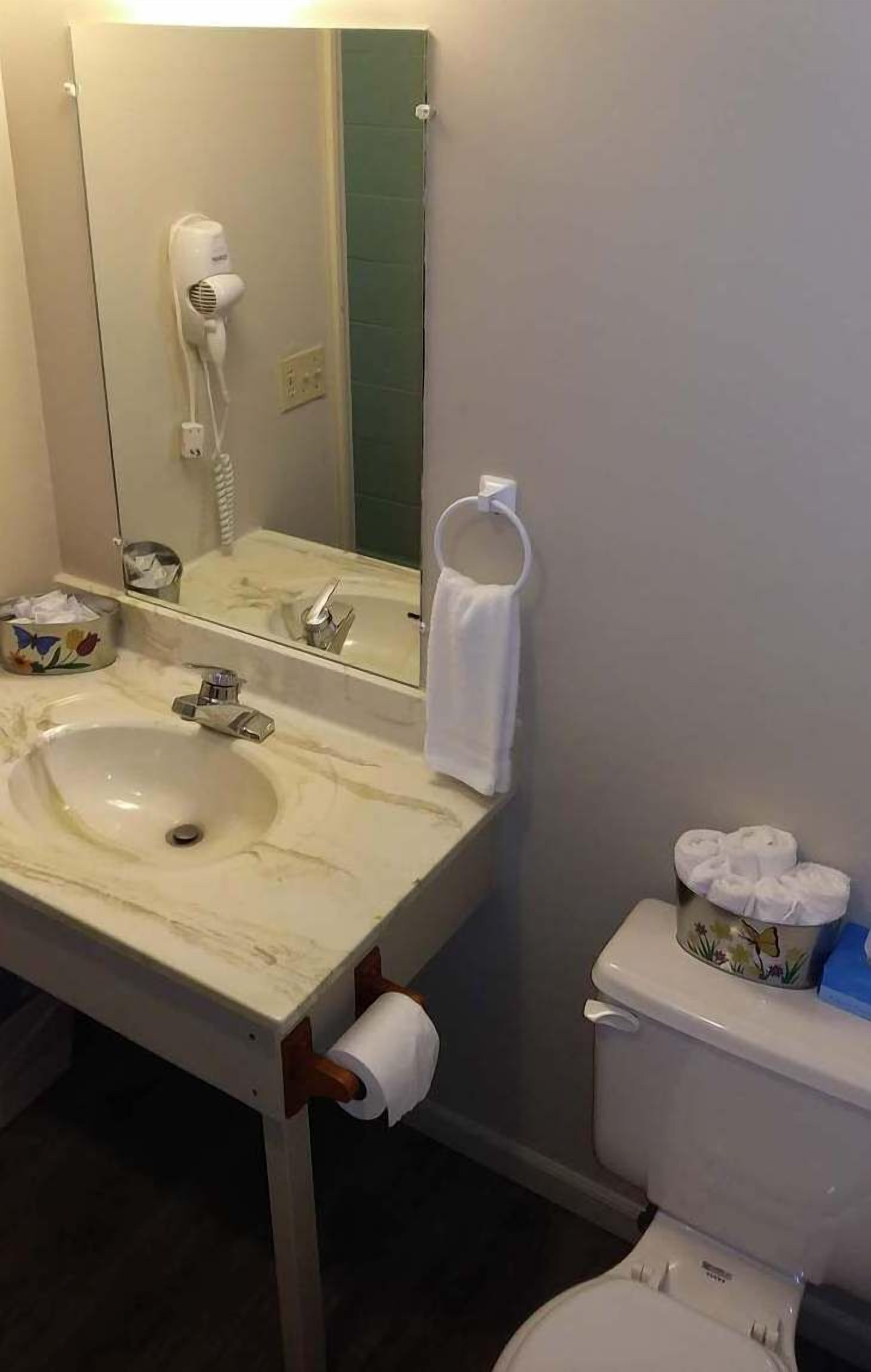 Casa de banho com lavatório, espelho, porta-toalhas, sanita e secador de cabelo.