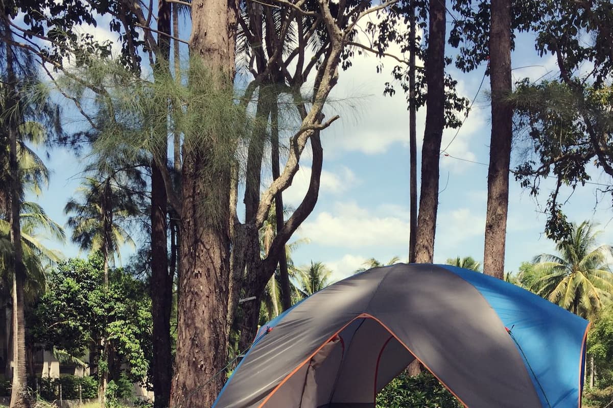 Uma tenda montada sobre um deck de madeira, com vista para árvores ao redor.