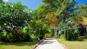 Vista para o jardim