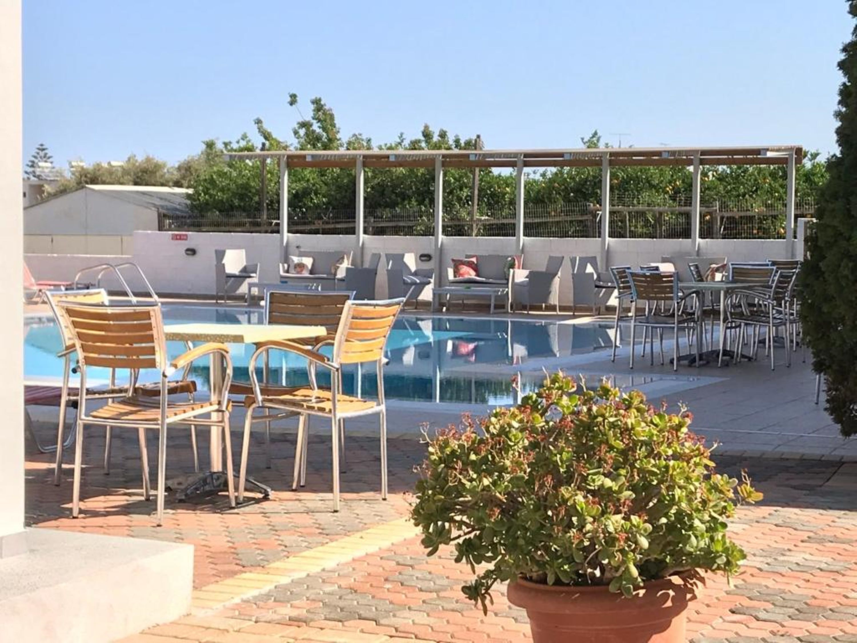Uma área ao lado da piscina com espreguiçadeiras e mesas, um espaço coberto para sentar e um vaso com planta.