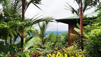 Vista para o jardim