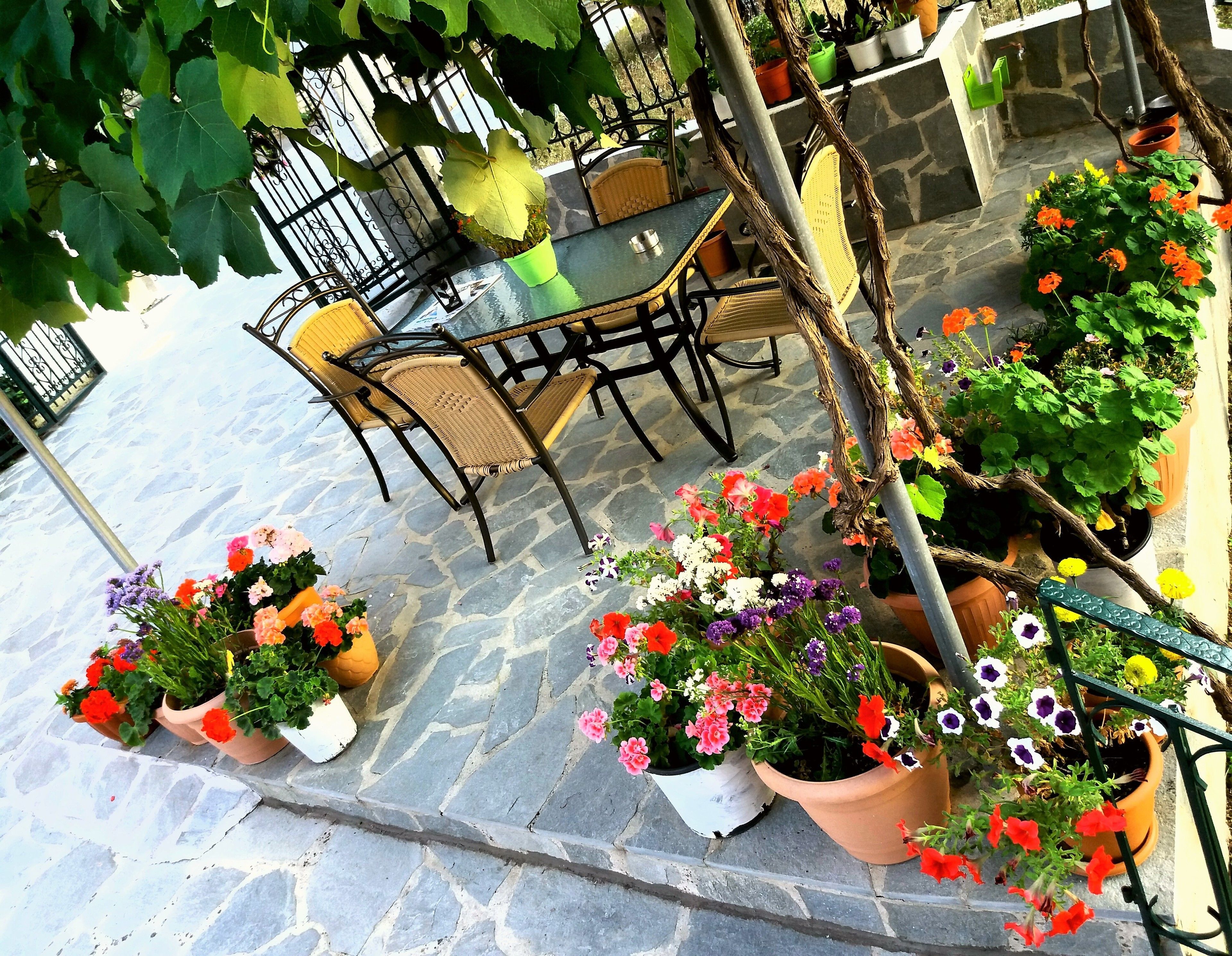 Uma área de pátio com mesa e cadeiras, cercada por vasos com plantas e flores.